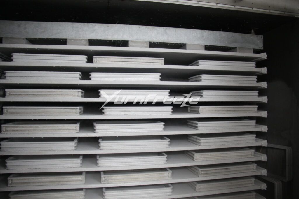Plate freezer VS Blast freezer - Yurnfreeze Equipment Co., Ltd